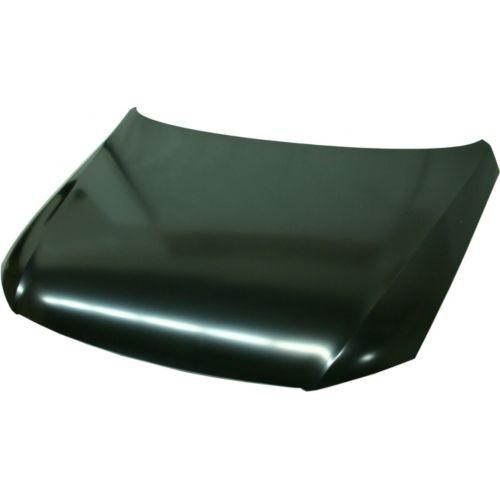 2006 Volkswagen Passat Hood Painted – ReveMoto